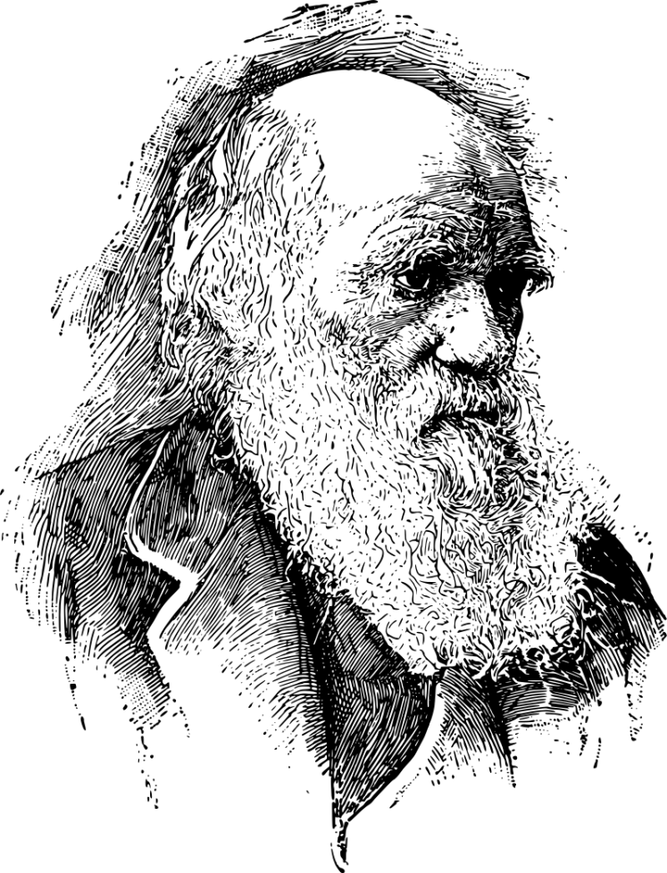 El experimento Miller-Urey y nuevas claves para el origen de la vida ...