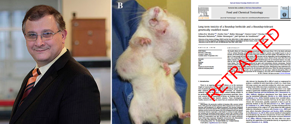 La ciencia de los OGMs – 2: Ratas, tumores y el fiasco de Séralini ...